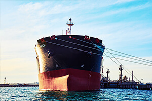 Vitol’s V-Bunkers receives green ship awards from Maritime Port ...