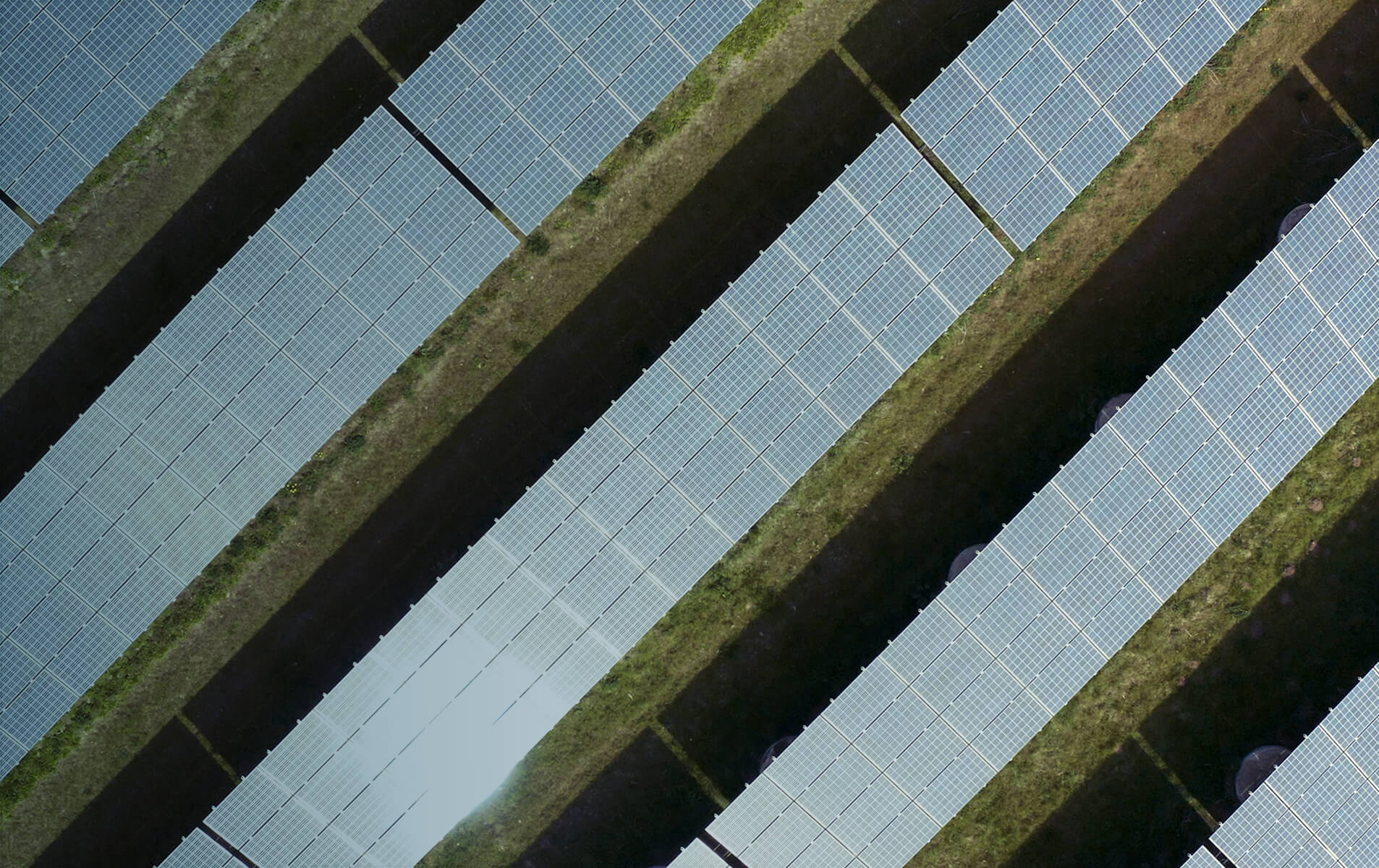 Vitol to deliver renewable energy credits to Meta through dedicated ...