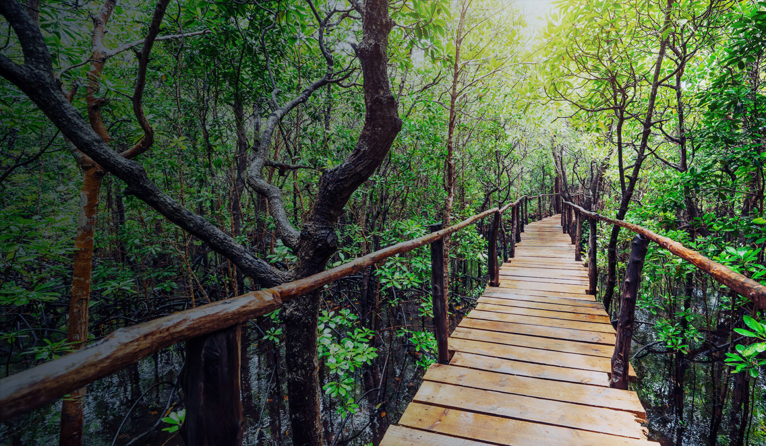 Wentworth Gas - Vitol.com