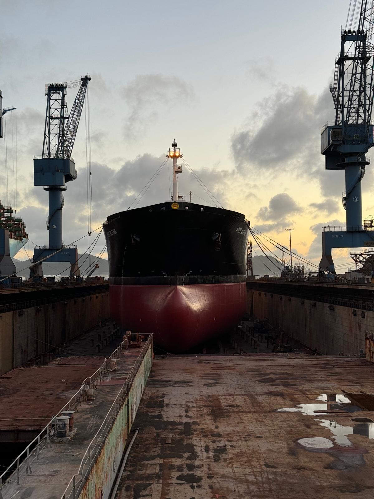 On track to meet IMO 2030 targets - Vitol.com